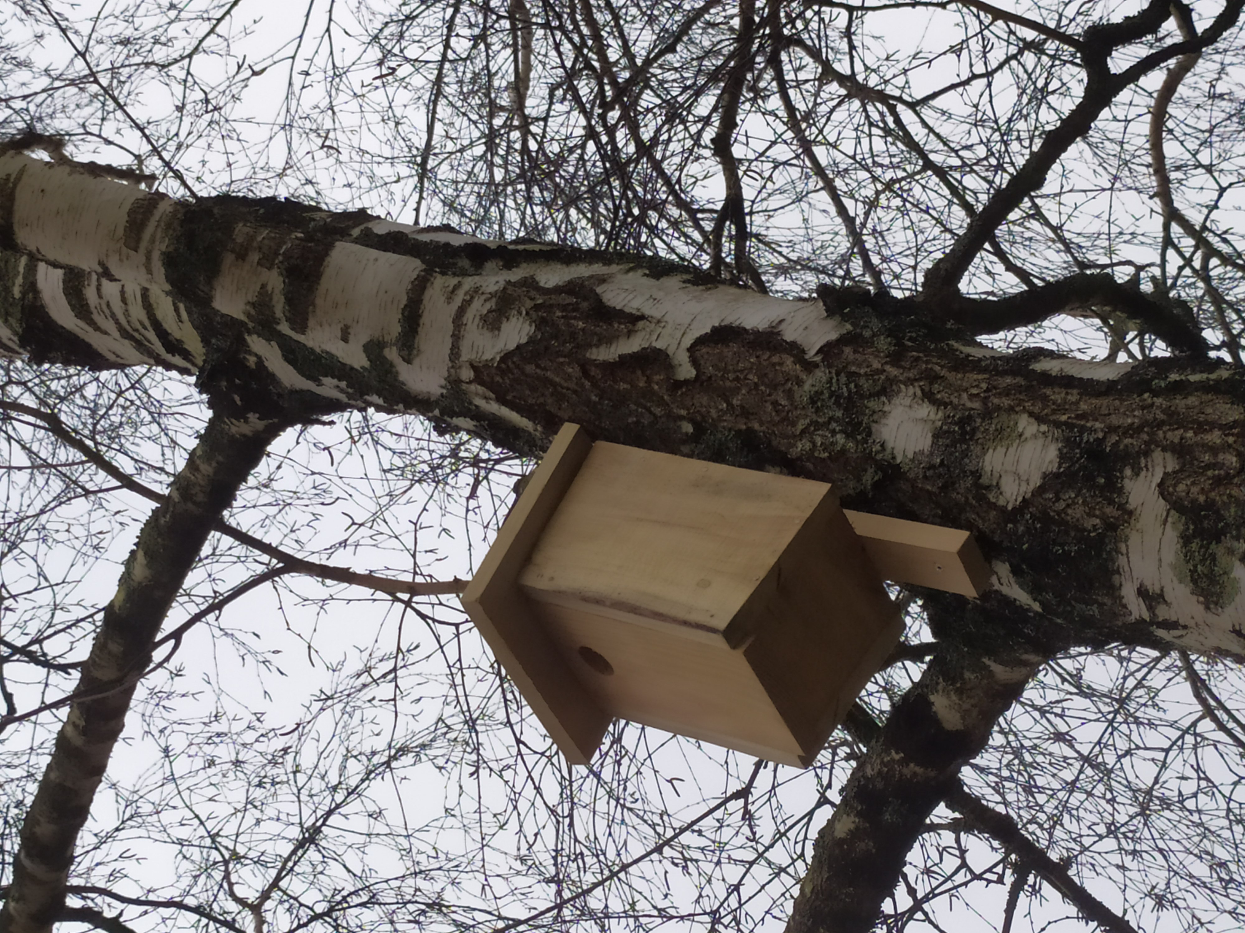 Projet oiseau et biodiversité : Lezay